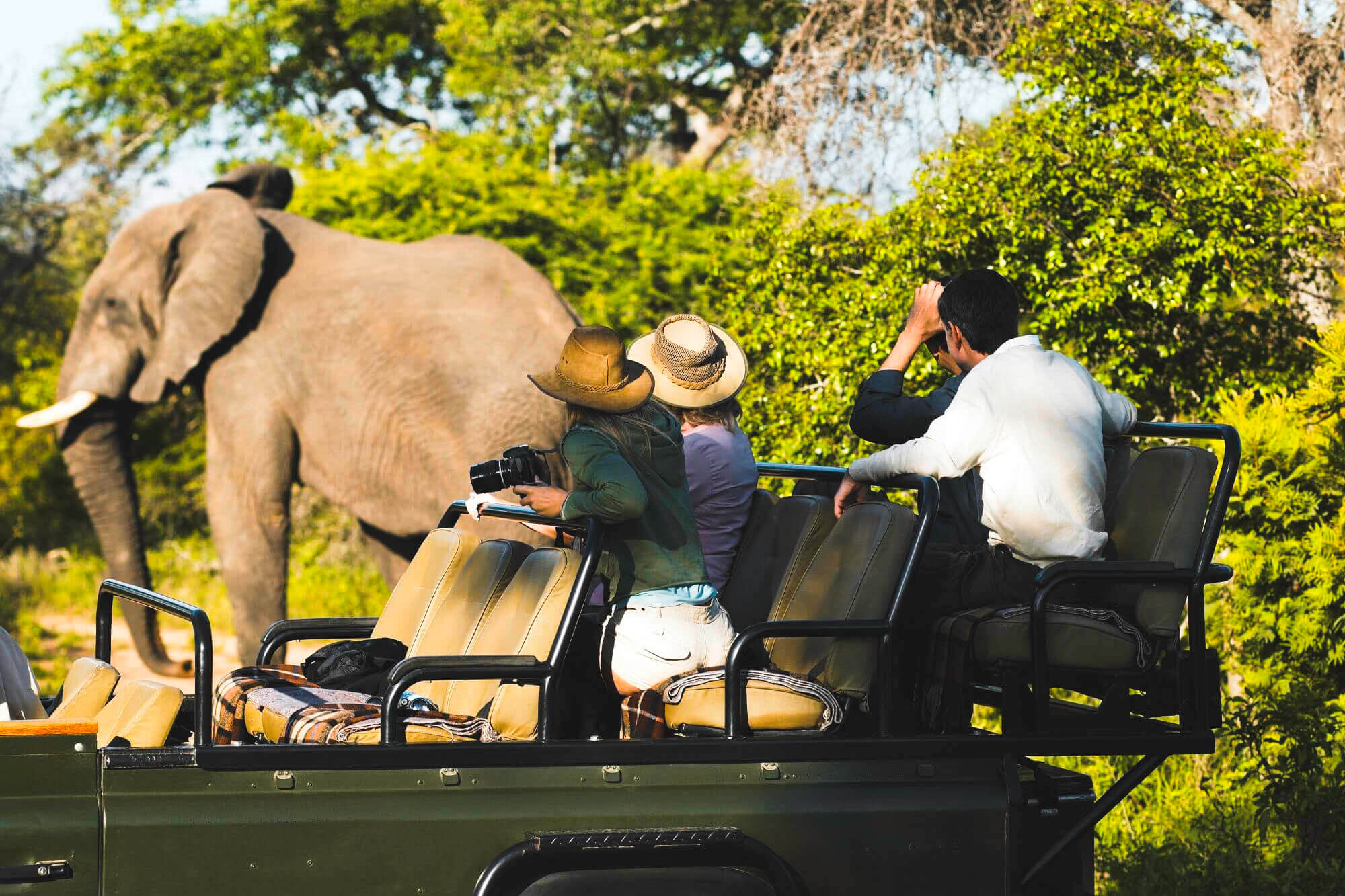 Safari Kleidung: 5 bewährte Tipps, die du beachten solltest - Wildful ...