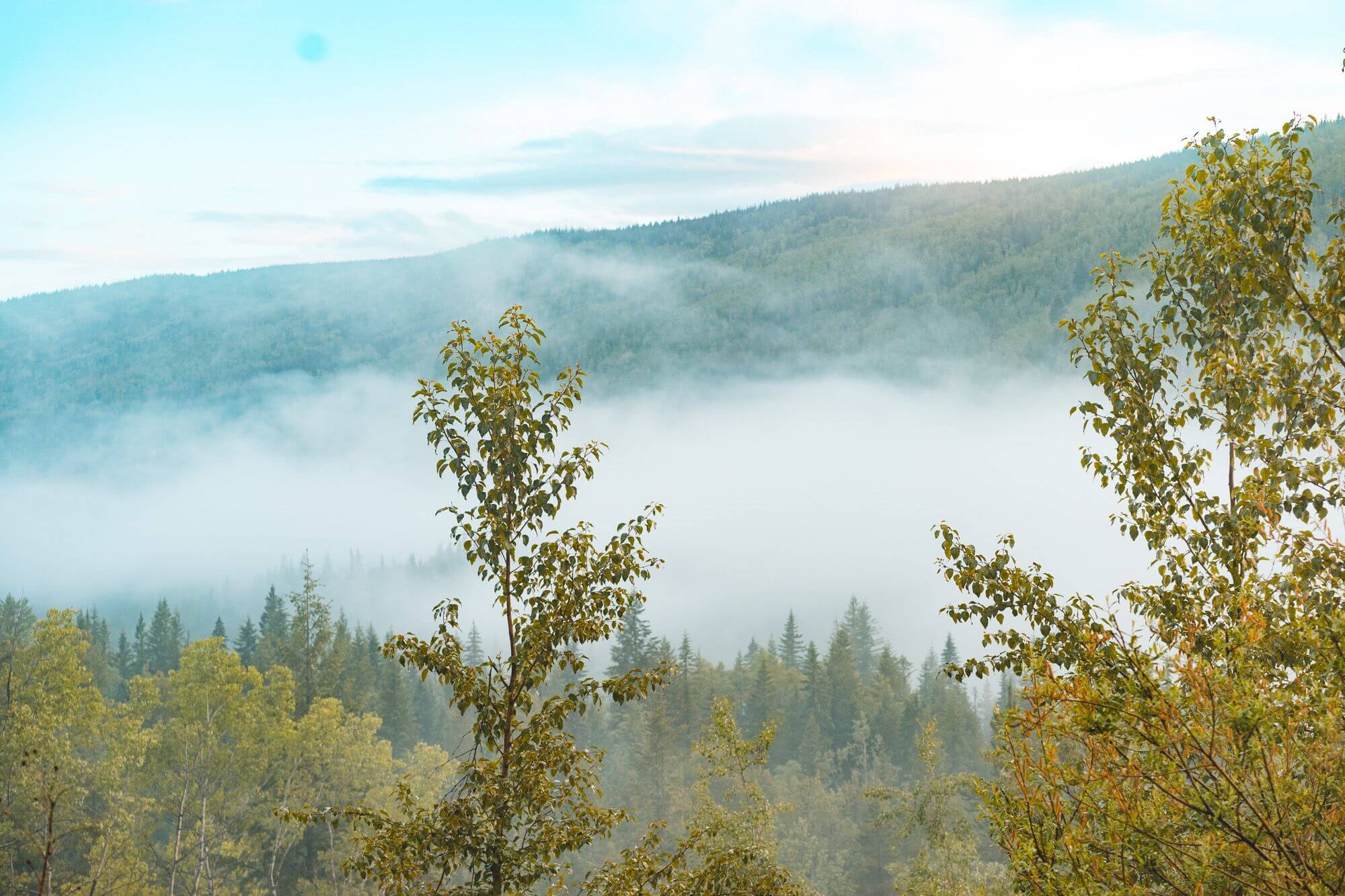 Pyramid Campground - Wildful Stories