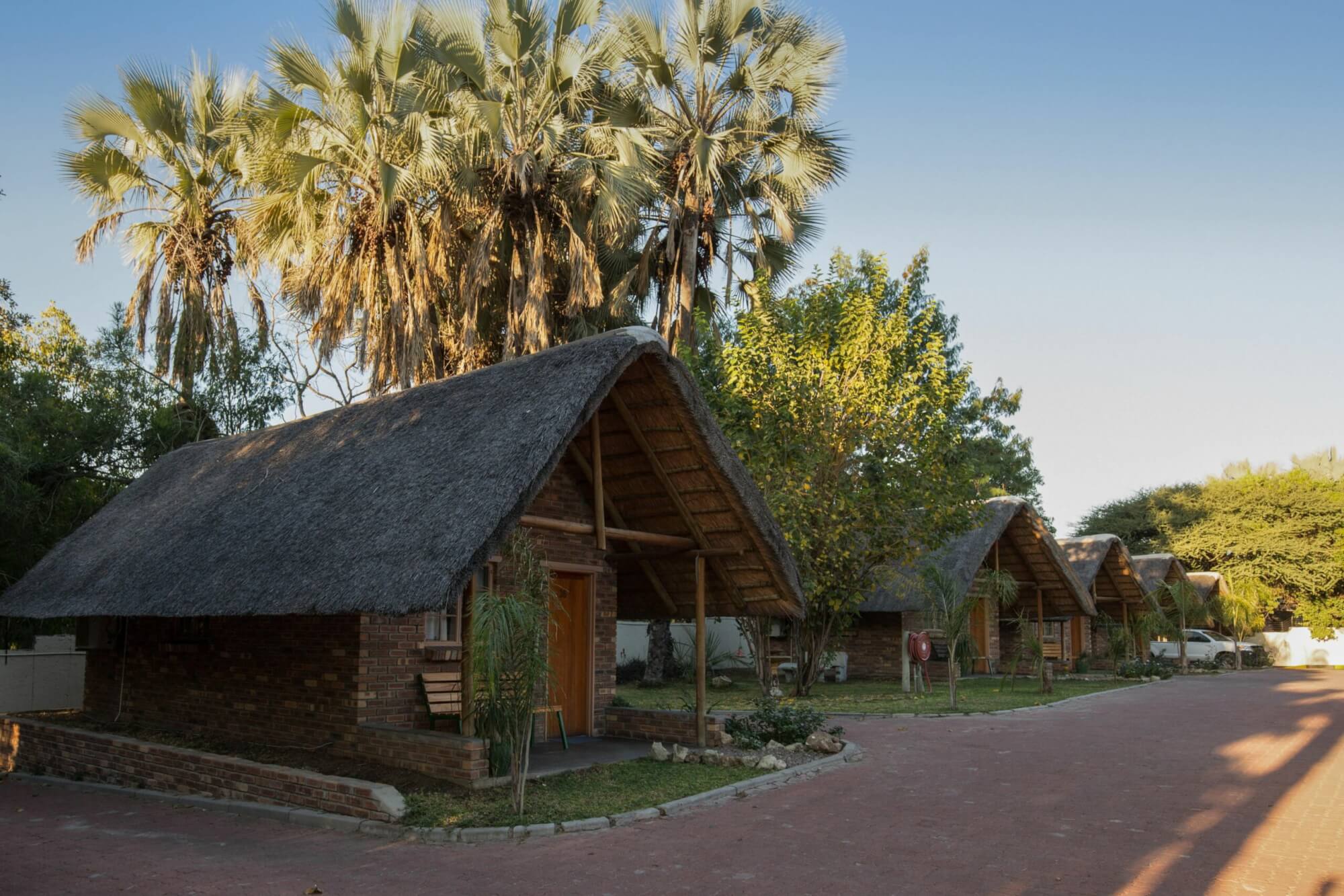 Maun Lodge - Unterkunft für Selbstfahrer - Wildful Stories