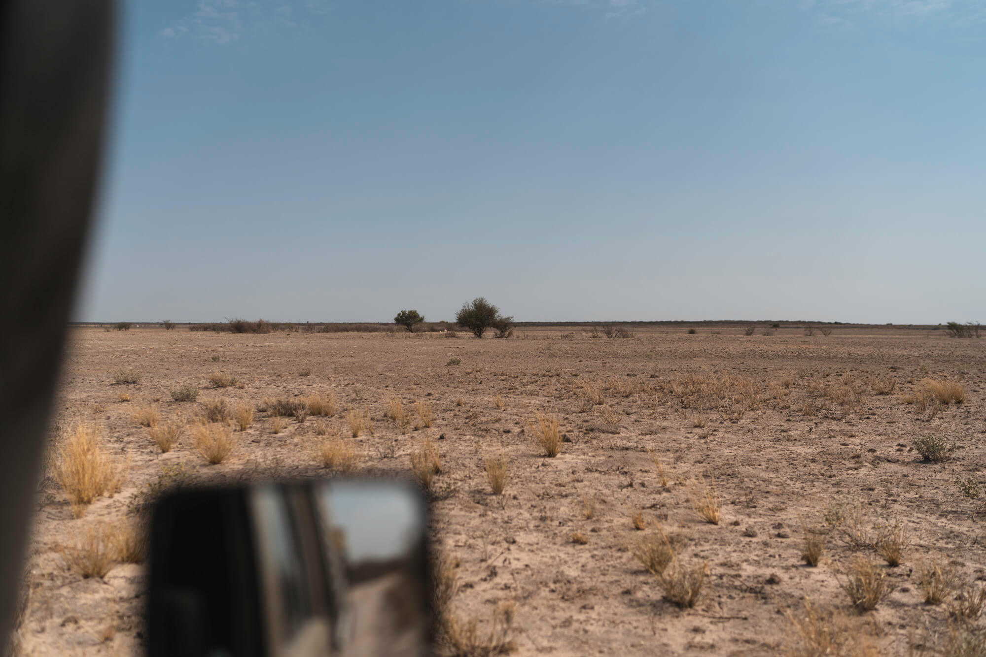 Piper Pan Campsite - Central Kalahari Game Reserve - Wildful Stories
